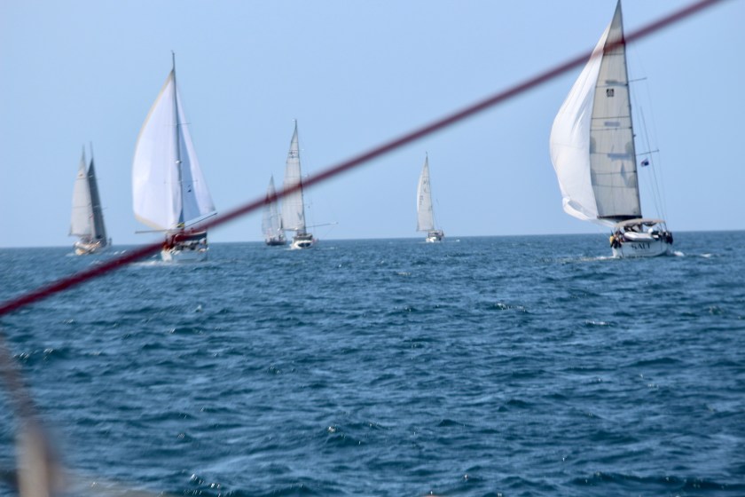 Crossing the Equator and getting to Galapagos – Sailing with Saphir